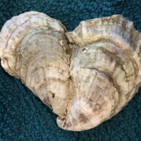 Begin the World Over – Notes to (Not) Self
